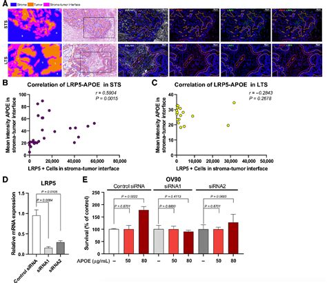 空间转录组学联合单细胞转录组学揭示卵巢癌生存相关受配体对 生信探索 博客园