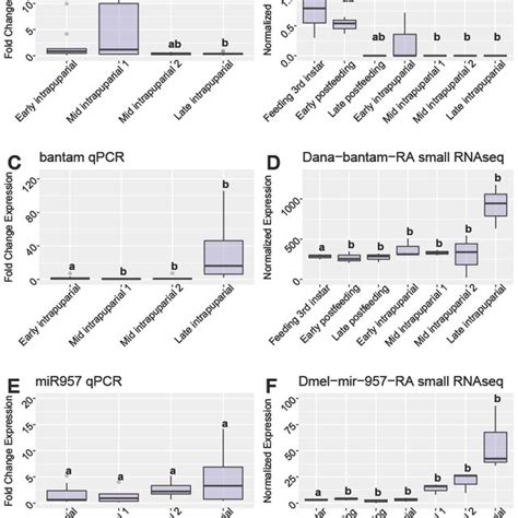 Comparison Of Expression Qpcr And Rnaseq Expression Of Qpcr Download Scientific Diagram