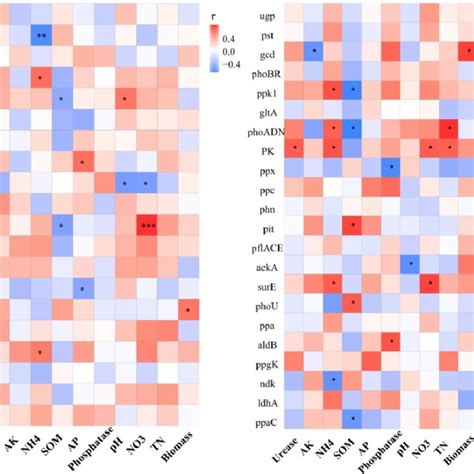 Spearman Correlation Coefficients Between Relative Abundance Of Genes Download Scientific