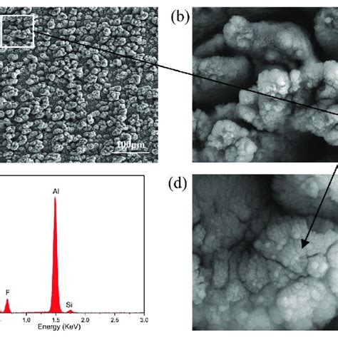 A B D Scanning Electron Microscopy Sem Microstructure Of Laser Download Scientific Diagram