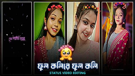 ফুল কলিরে ফুল কলি🌺 New Bengali Romantic Status Alight Motion Video Editing🔥
