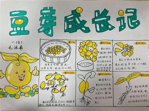 植物生长记录手抄报 植物生长记录手抄报简笔画 色粉画