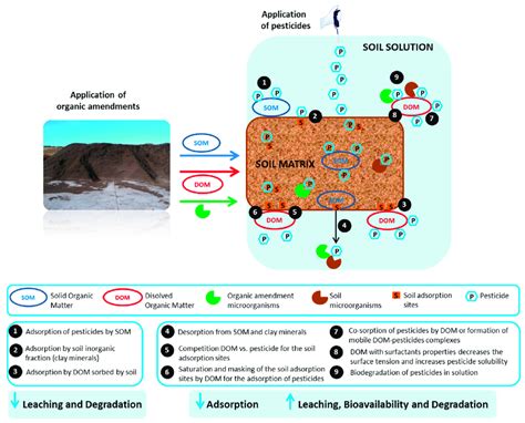 Summary Of The Organic Amendments Solid Organic Matter Som And Download Scientific Diagram