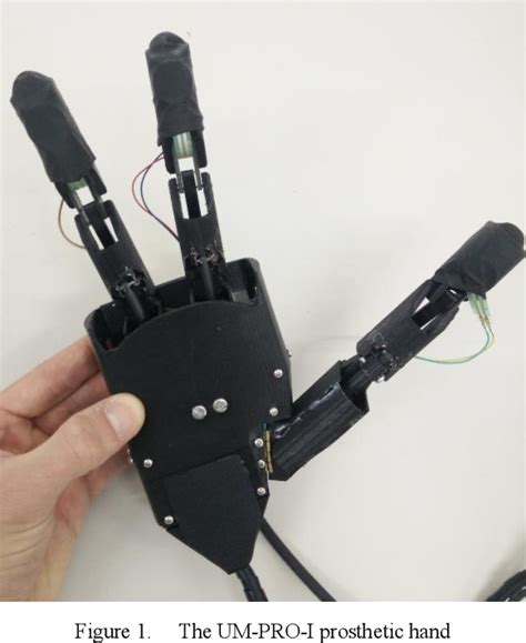 Figure 3 From Prototype Development Of A Prosthetic Derivative Of The Minimal Anthropomorphic