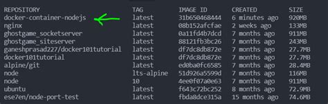 Docker Docker Container For Nodejs Geeksforgeeks