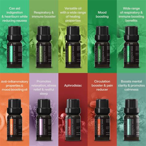The Power Of Essential Oils A Comprehensive Beginners Guide