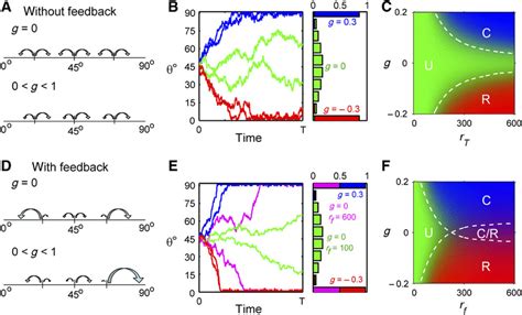 Stochastic Modeling Without Feedback A Schematics Showing The Download Scientific Diagram