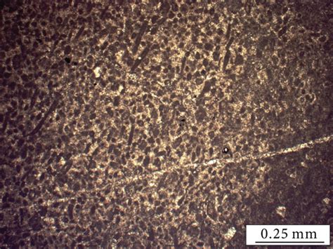 Main Microfacies Of Yingshan Formation In Tazhong Area Mf1 Mf9 A