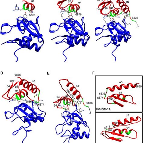 Pdf Peptide Inhibitors Against Sars Cov 2 2′ O Methyltransferase