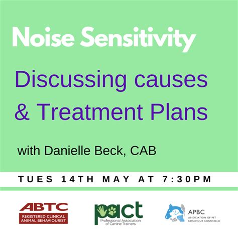 Noise Sensitivity Discussion And Treatment Plans Tuesday 14th May Noise Sensitivity Discussion And Treatment Plans Tuesday 14th May