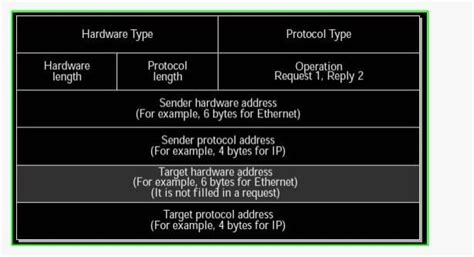 arp protocol geeksforgeeks