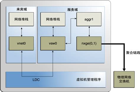 将链路聚合和虚拟交换机结合使用 Oracle® Vm Server For Sparc 31 管理指南