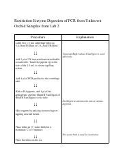 Restriction Enzyme Digestion And Electrophoresis Of PCR Orchid Course Hero