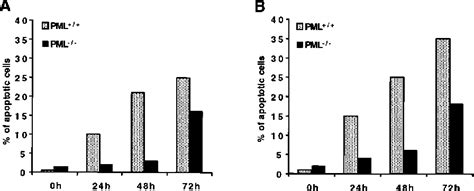 Figure 1 From Promyelocytic Leukemia Protein Pml And Daxx Participate In A Novel Nuclear