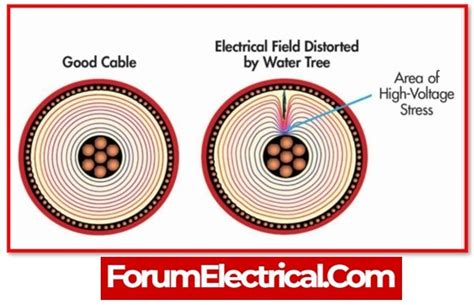 What Is Water Trees And Electrical Trees In Cables Exploring The Causes