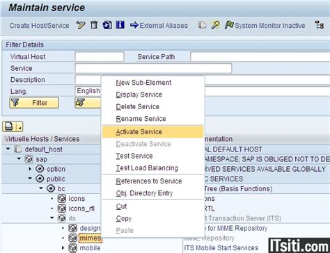 Activate And Configure Sap Its Webgui