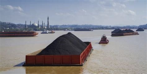 Нүүрсний экспортоо бүхэлд нь хориглоод буй Индонез улсаас нүүрс ачсан 37 хөлөг онгоц далайд