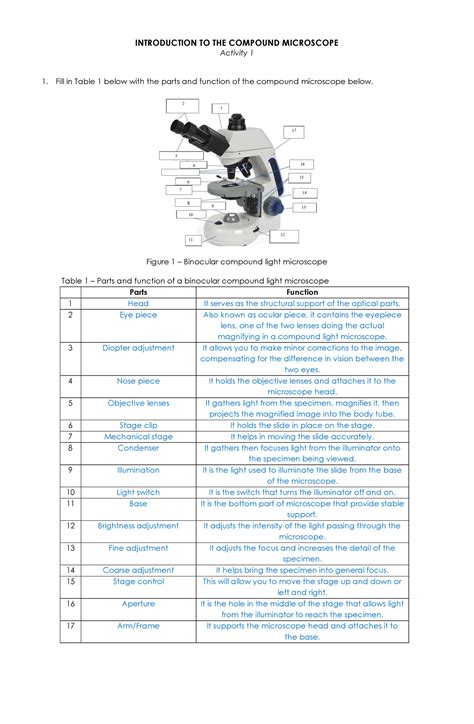 Activity The Microscope INTRODUCTION TO THE COMPOUND MICROSCOPE Activity Fill In Table