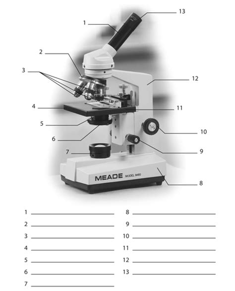 Microscope With Labels For Grade 7 And 8 Science Lab