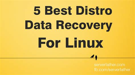 Data Recovery For Linux Best 5 Os Open Source Distro Linux Youtube
