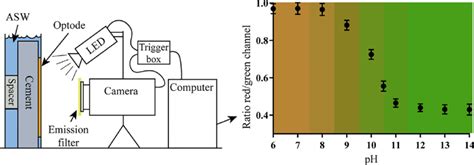 Calibration Curve Of Ph Optode And Experimental Setup The Colors Of