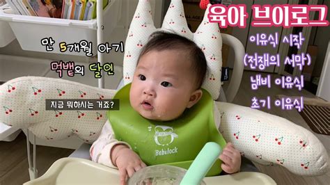 만 5개월 아기 육아 브이로그이유식 시작냄비 이유식초기 이유식알러지 반응 보기5개월 아기 발달사항배밀이 Youtube