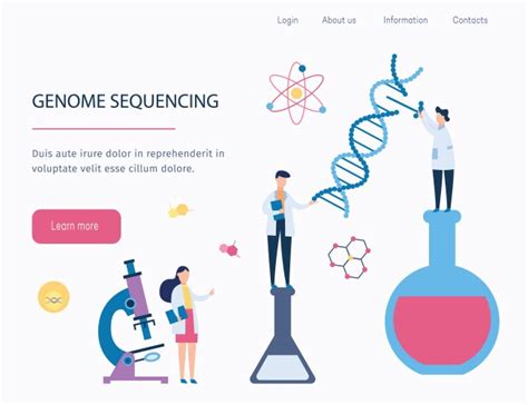 Sequencing Vector Images Over 55 000