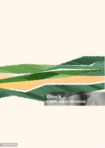 녹색 콜라주 추상 필드 배경 벡터 그림입니다 질감이 있는 자연의 패턴 낙서가 있는 유기적인 모양 수직 포스터의 A4 레이아웃 현대적인 배경 템플릿 책 표지 장식 포도밭에