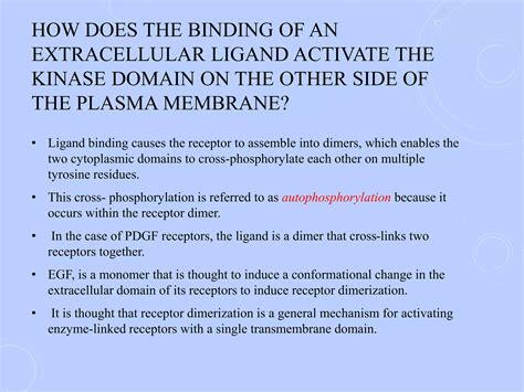 Enzyme Coupled Receptors Pptx
