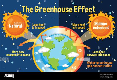 Greenhouse Effect Worksheet