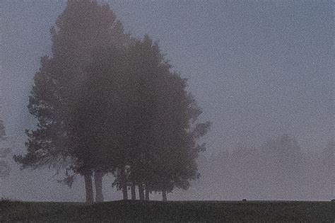 Noise Reduction Definition What Is Noise Reduction By Slr Lounge