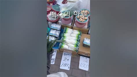 백수기록일기42 백수브이로그 브이로그 자취러 백수일상 요리로그 일주일브이로그 Vlog 시장 자취생 자취생브이로그 자취생일상 요리브이로그 강아지산책