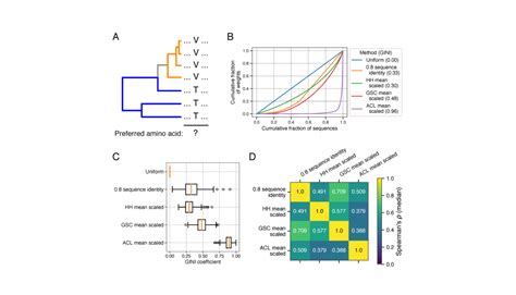 Phylogenetic Weighting Does Little To Improve The Accuracy Of Evolutionary Coupling Analyses