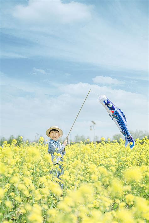 少年与春天 苇绡万朵 站酷zcool