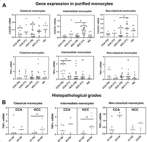 Gene Expression In Purified Classical Intermediate And Non Classical Download Scientific