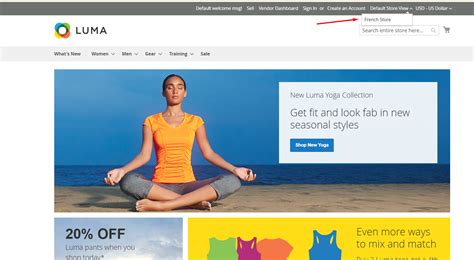 How To Configure Multiple Language Website In Magento 2 Mavenbird
