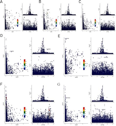 Causal Relationship Between Sex Hormone Binding Globulin And Obstetric