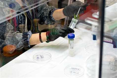 Cloning In Labs At Matthew Mendelsohn Blog