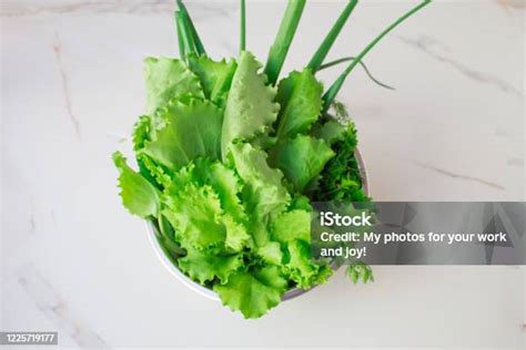 신선한 채소와 채소 밭 샐러드 딜 파슬리 양파를 흰색 대리석 테이블에 다리미컵에 넣고 복사 공간을 함께 섞는다 건강한 생활방식에