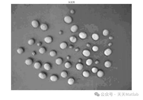 【谷物计数】基于机器视觉实现谷物计数matlab仿真 谷物图像识别系统标注信息图 Csdn博客