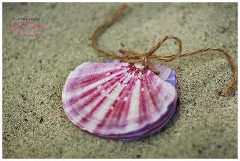 Don T Be A Salad QUICK AND EASY WAY TO CLEAN SEASHELLS