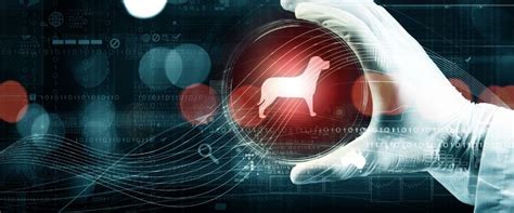 Unraveling The Mysteries The Fascinating World Of Pet Dna Testing