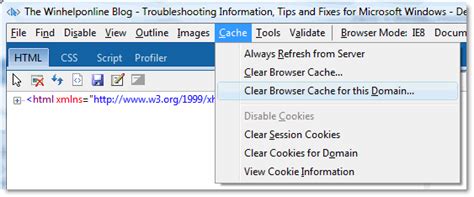 Clear IE Temporary Internet Files Cache For A Particular Site Winhelponline