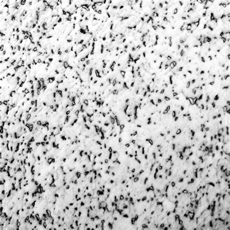 Microstructure Of As Received Ti 6al 4v Alloy Download Scientific Diagram