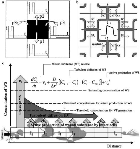 Schemes Of Some Models Of Propagation Of Electrical Signals A Model Of Schemes Of Some Models Of Propagation Of Electrical Signals A Model Of