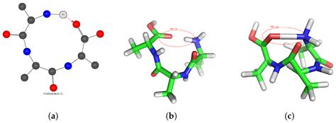 Algorithmic Graph Theory, Reinforcement Learning and Game Theory in MD Simulations: From 3D ...