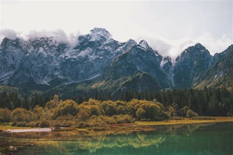 가을 경치 경치가 좋은 나무 동부 알프스 떨어지다 락 바위 산 수직 쐈어 슬레메노바 슈피카 슬로베니아 알프스 야외에서 자연 줄리스케 알페 줄리안