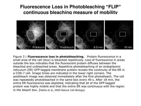 Ppt A Way Of Understanding Diffusion Random Walk Powerpoint Presentation Id 6396134