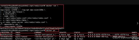 Docker 安装 Redis 容器docker Redis容器 Csdn博客 Docker 安装 Redis 容器docker Redis容器 Csdn博客
