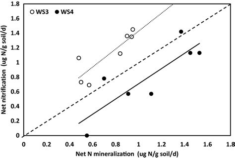 Net Nitrification Versus Net N Mineralization For Individual Sample Download Scientific Diagram
